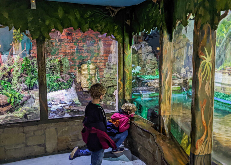 Matlock Bath Aquarium: everything you need to know