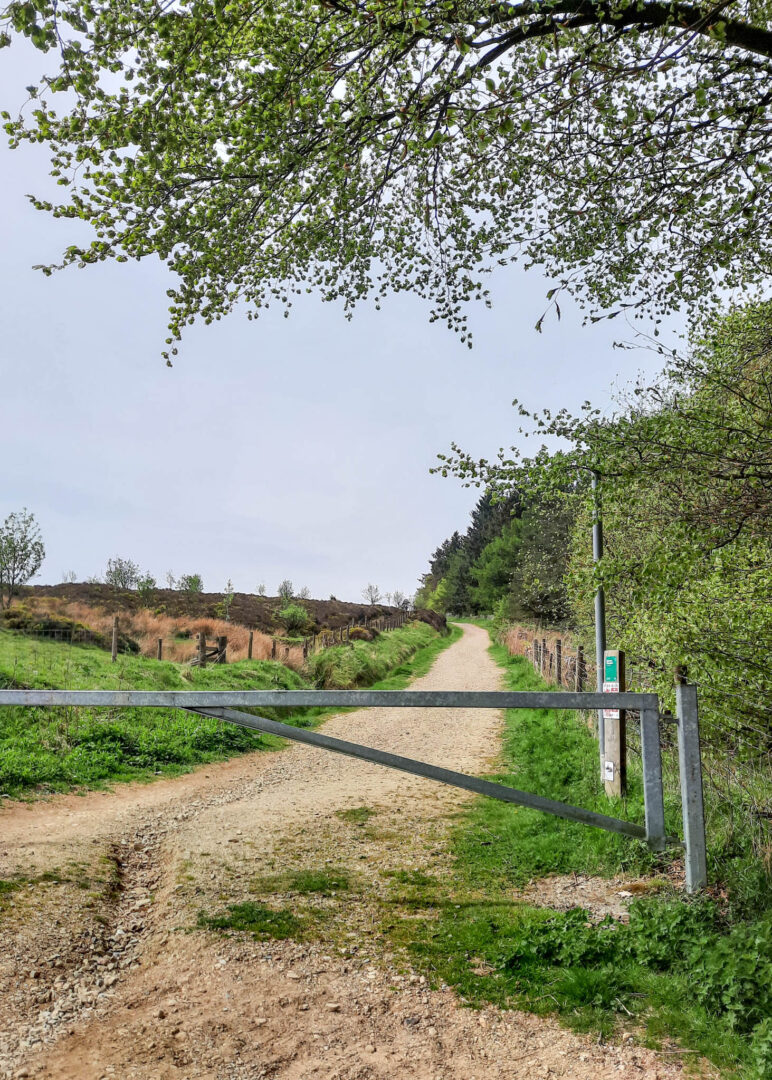 Stanage Pole walk (linear, 3.4km): with optional extension to Stanage Edge