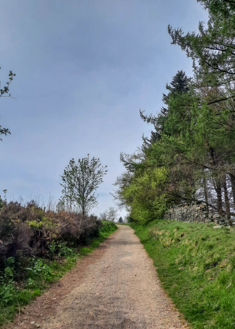 Stanage Pole walk (linear, 3.4km): with optional extension to Stanage Edge