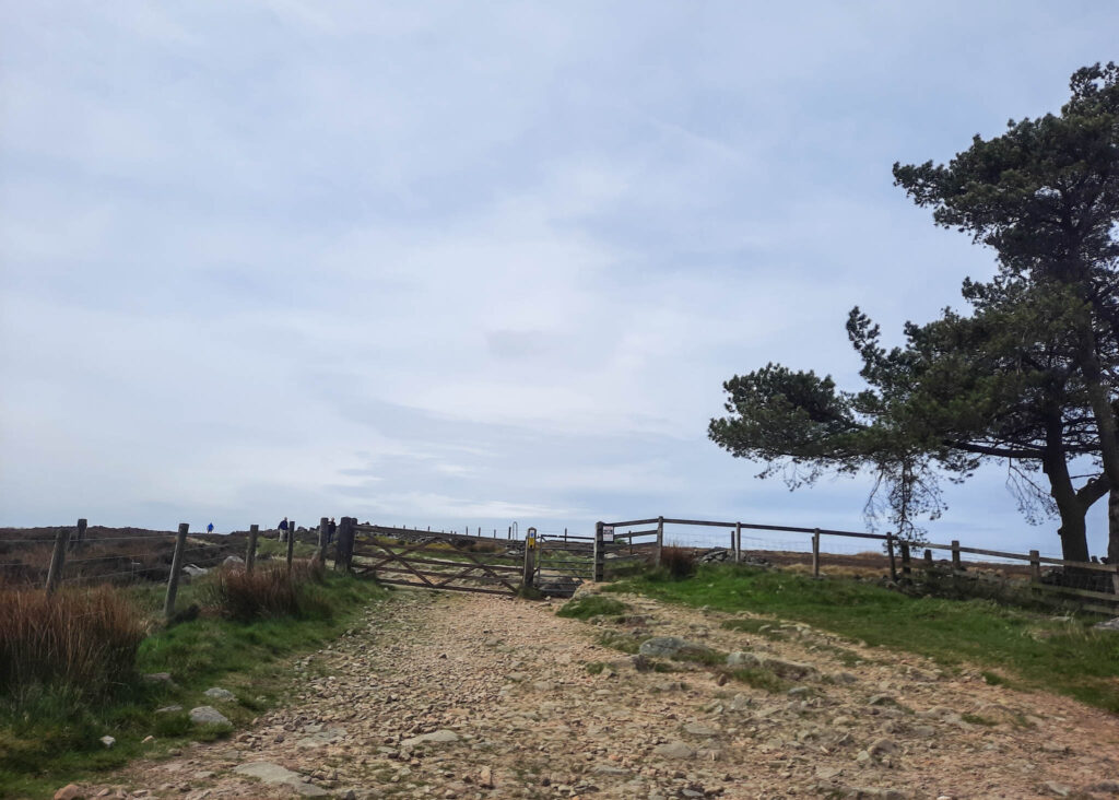 Stanage Pole walk (linear, 3.4km): with optional extension to Stanage Edge